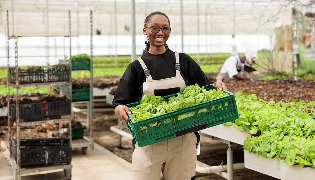 BAMSI Institute – The Bahamas Agriculture and Marine Science Institute ...