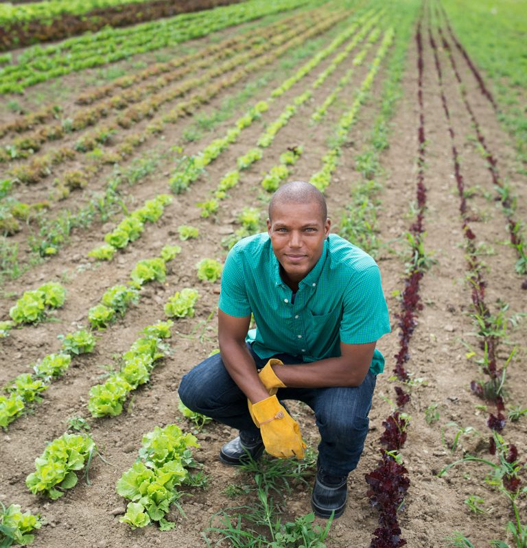 BAMSI Institute – The Bahamas Agriculture and Marine Science Institute ...