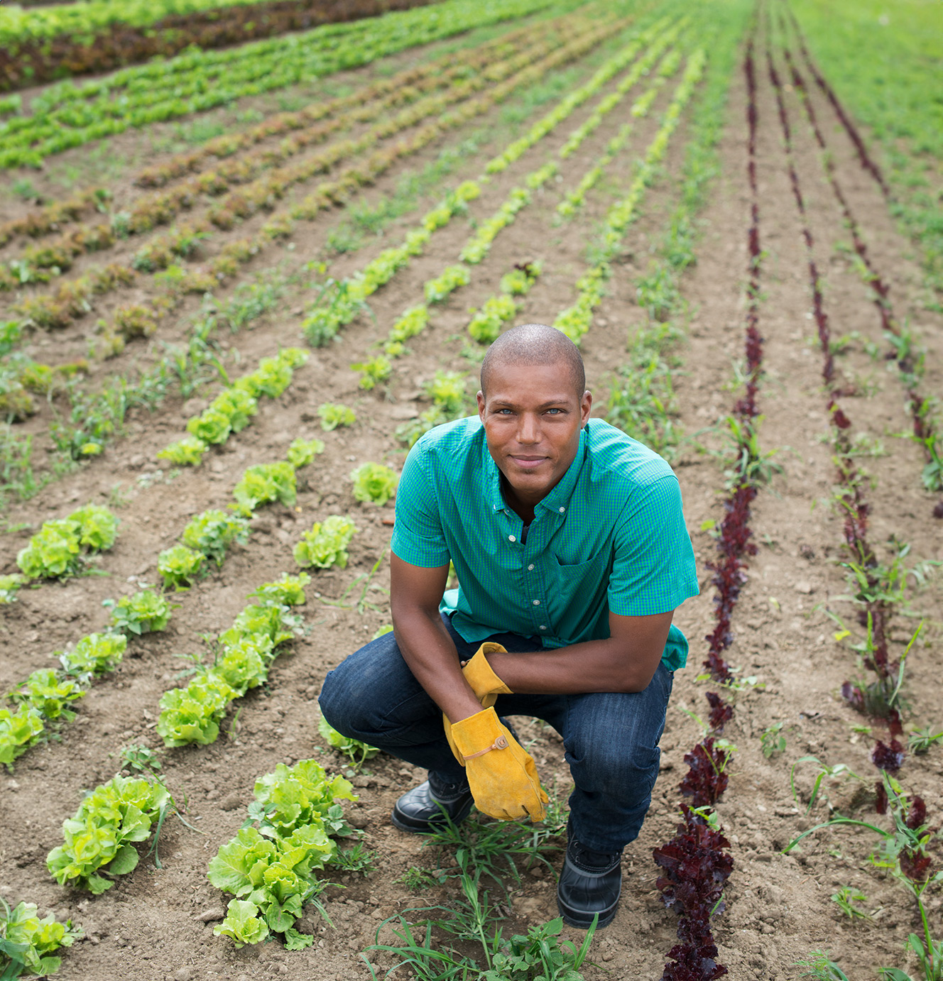 About – BAMSI Institute