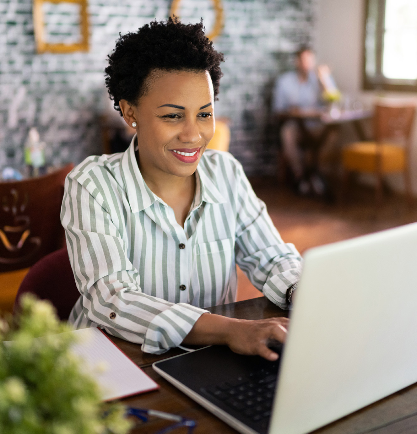 BAMSI Institute – The Bahamas Agriculture and Marine Science Institute ...