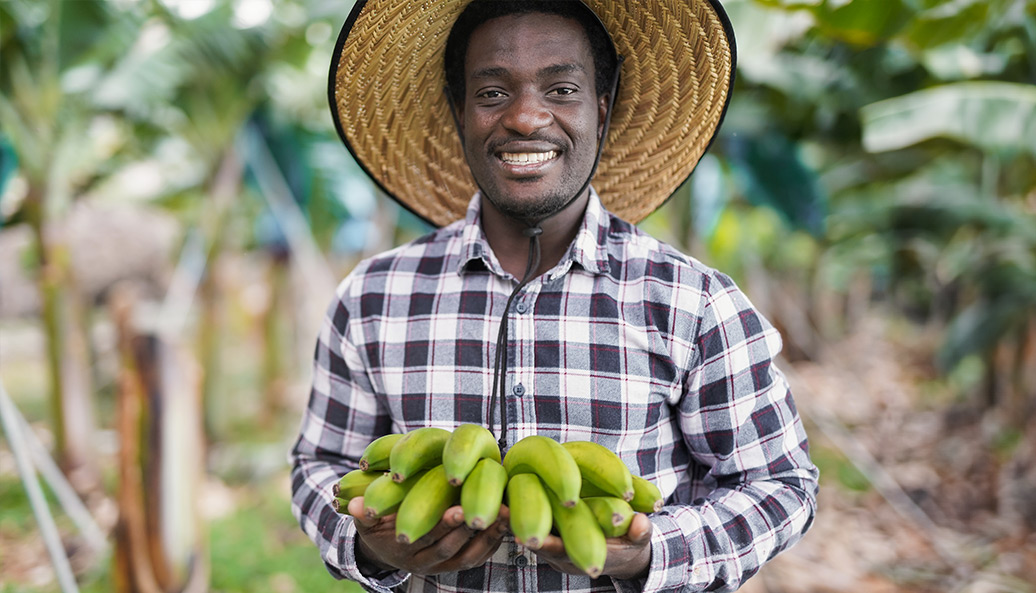 BAMSI Institute – The Bahamas Agriculture and Marine Science Institute ...