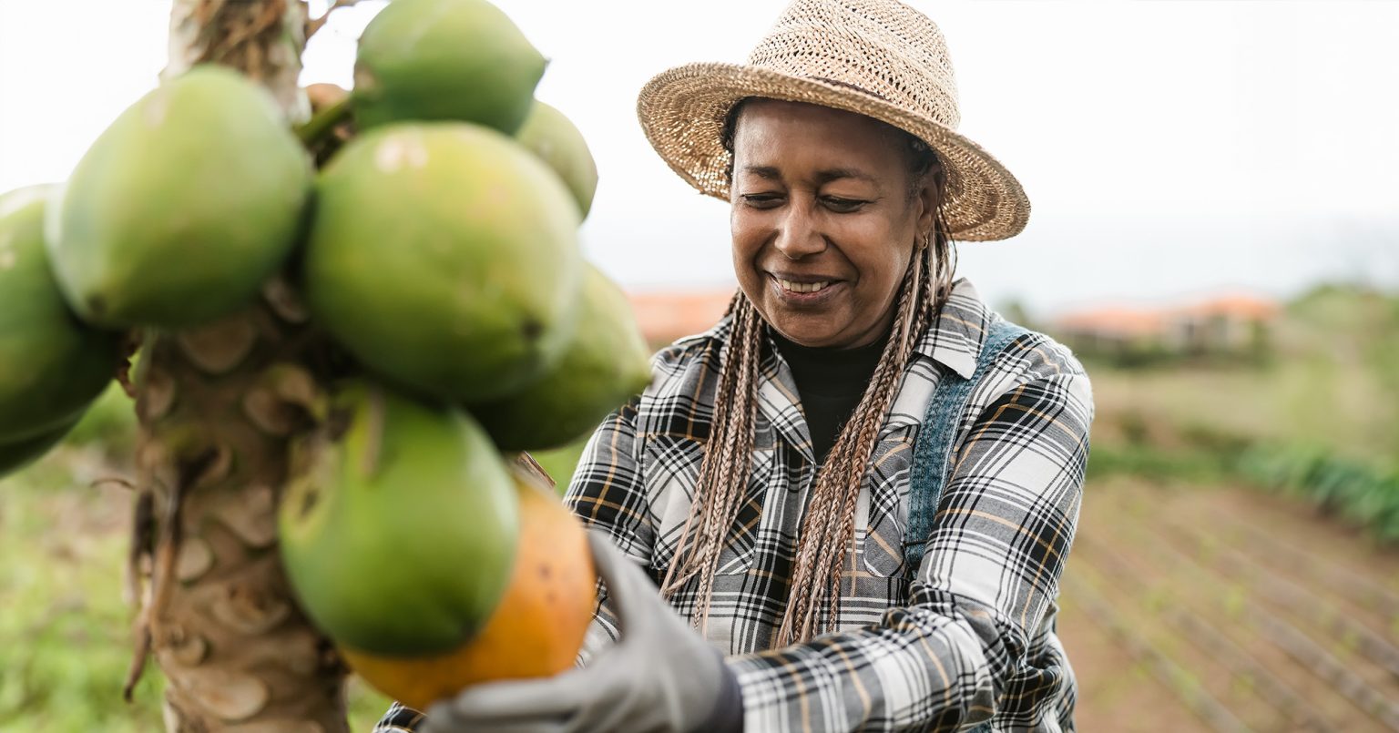 BAMSI Institute – The Bahamas Agriculture and Marine Science Institute ...
