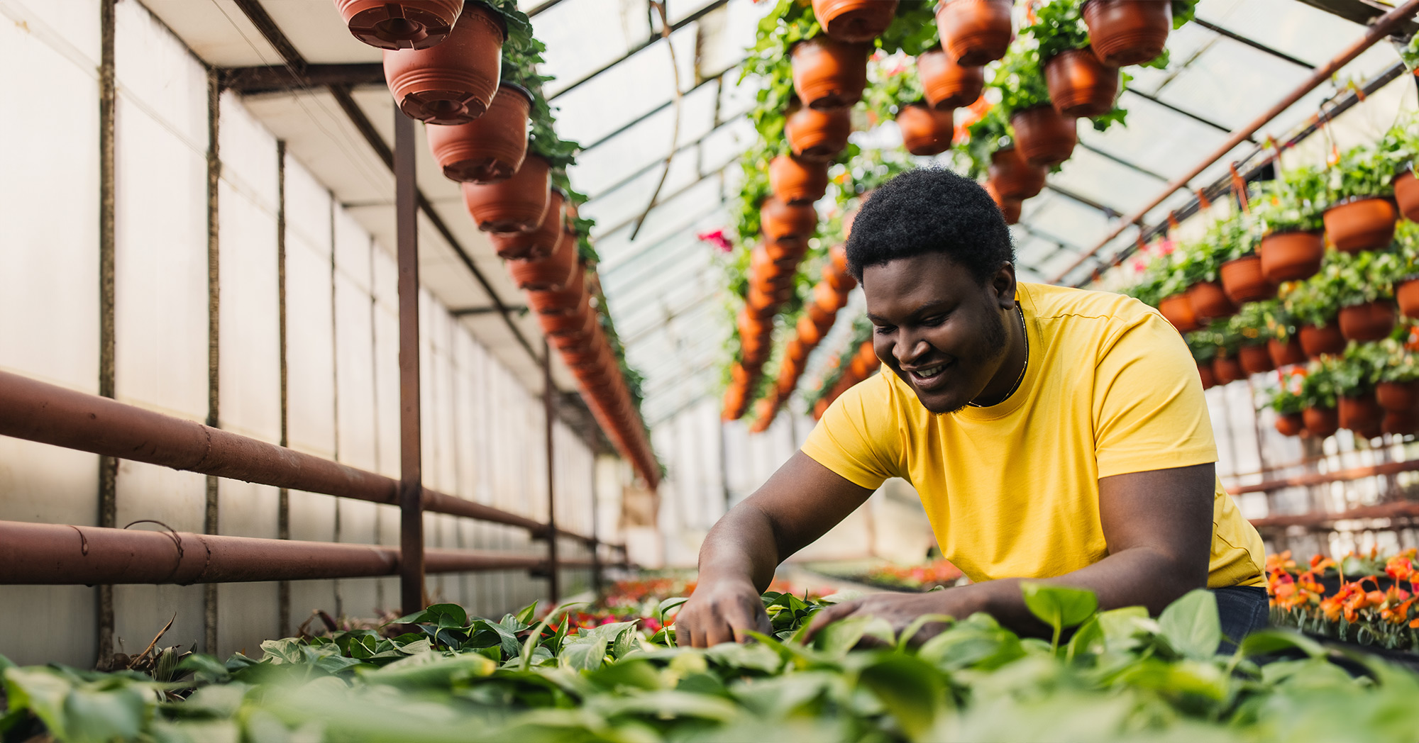 About – BAMSI Institute