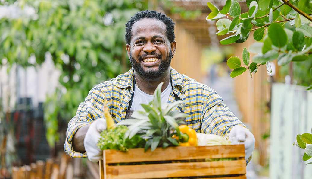 BAMSI Institute – The Bahamas Agriculture and Marine Science Institute ...